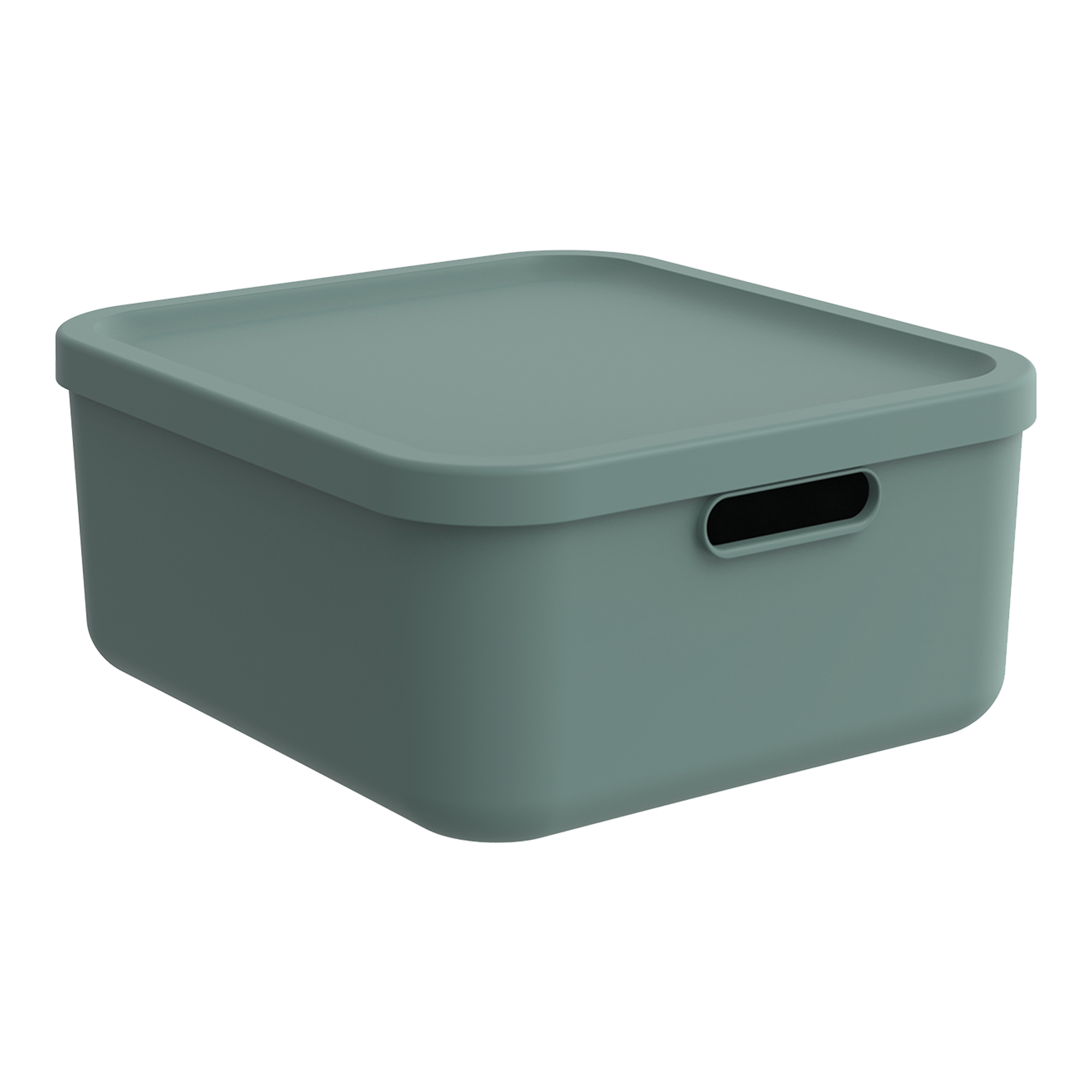 Zelený skladovací box ALBULA 20 l | agatanabytek.cz